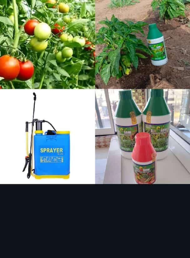 Engrais foliaire sans chimique DI grow disponible à 10 000F/Litre - BayKat