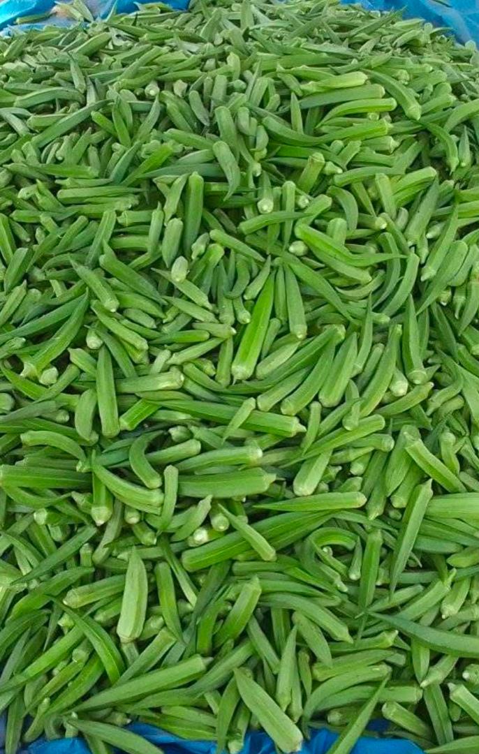 Gombo de très bonne qualité disponible à 1000F/Kg - BayKat