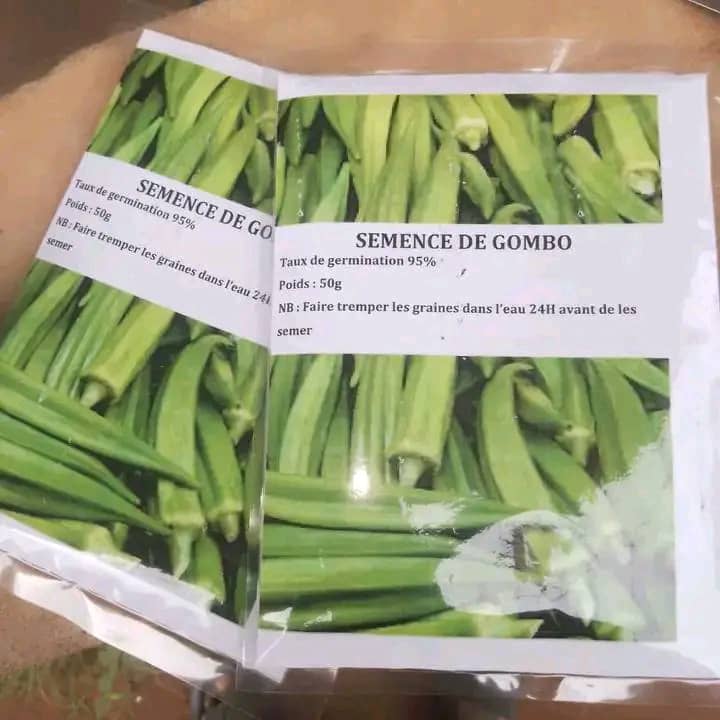 SEMENCES DE GOMBO DISPONIBLE à 17000f/SACHETS DE 50g - BayKat